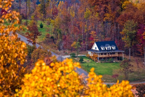 This Map Will Show You When To See Fall Foliage In Tennessee