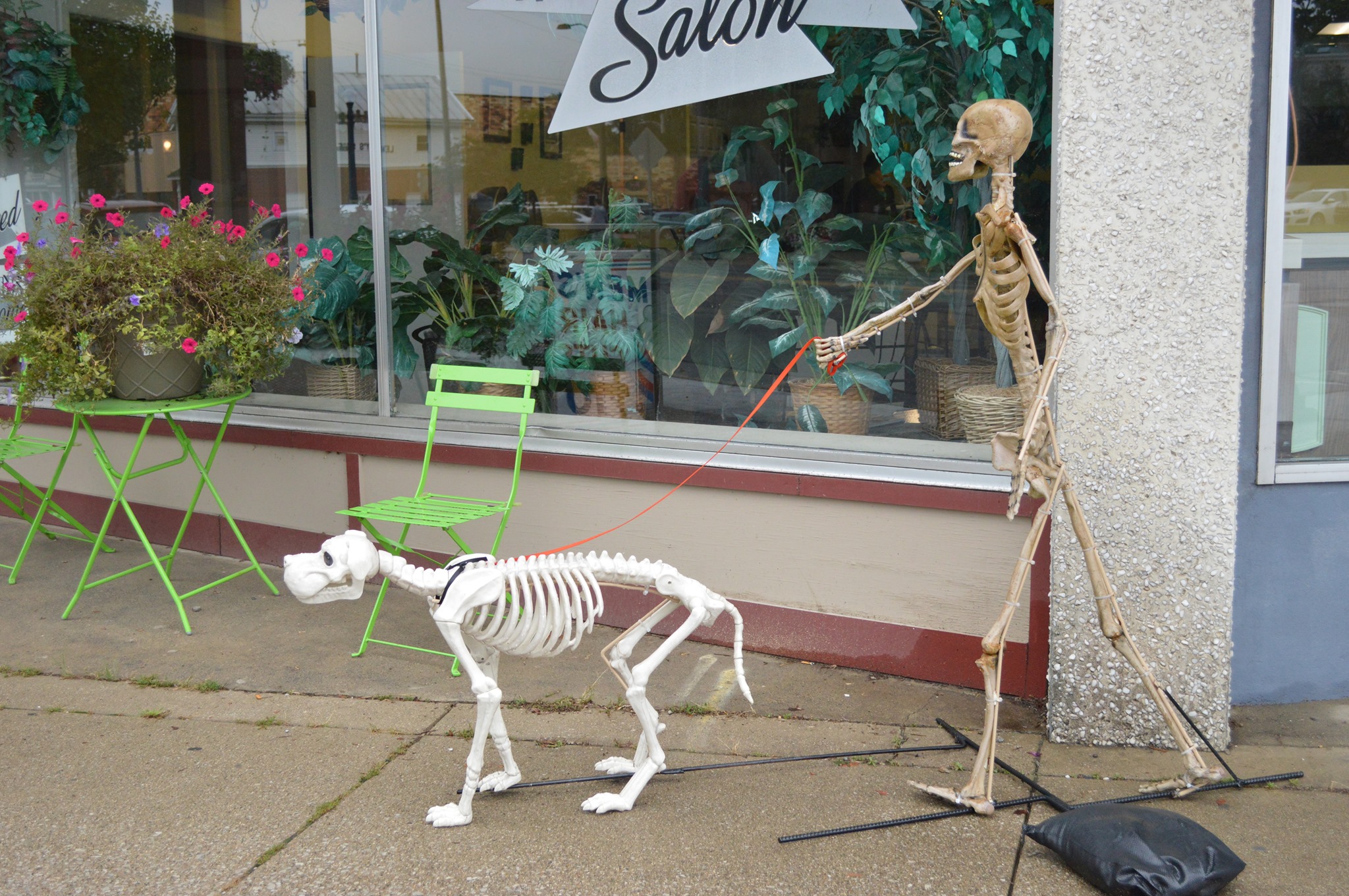 Step Out For A Spooky, Scary Good Time At Marshall Skeleton Fest In ...