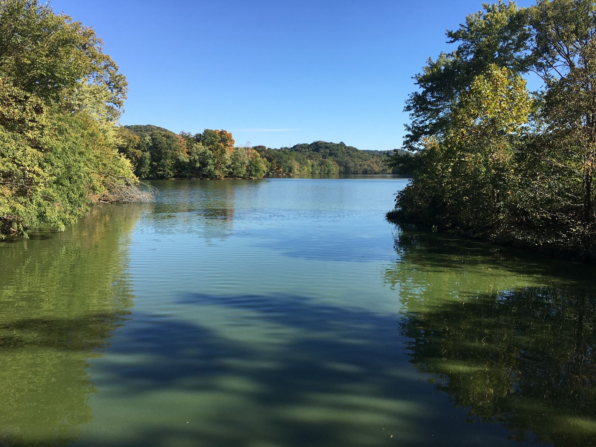 The Radnor Lake Loop In Nashville Takes You From The Woods To The Lake ...