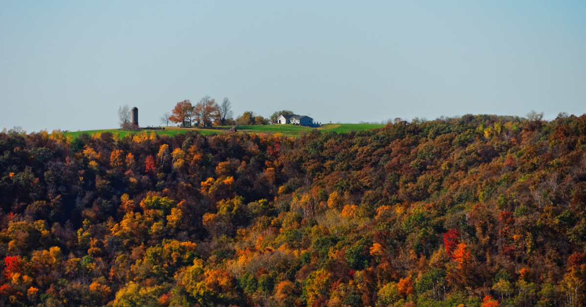 See The Best Colors On This Fall Foliage Road Trip In Wisconsin
