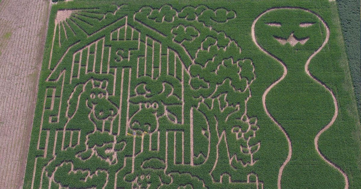 7 of The Best Corn Mazes In Mississippi