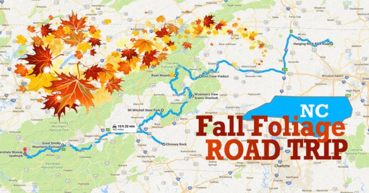 The Best Fall Foliage In North Carolina Road Trip Ever