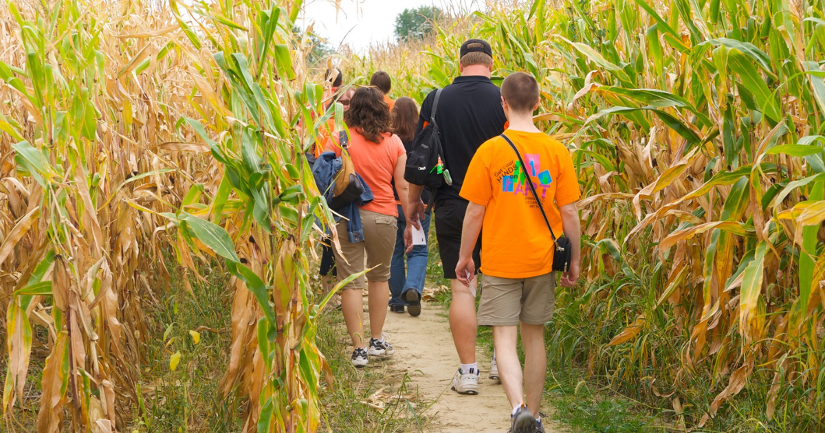 These Are The 9 Best Corn Mazes In Ohio