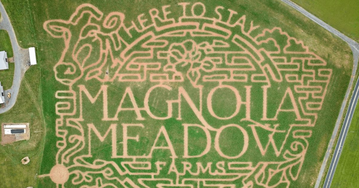 The 9 Best Corn Mazes In Maryland To Visit This Fall