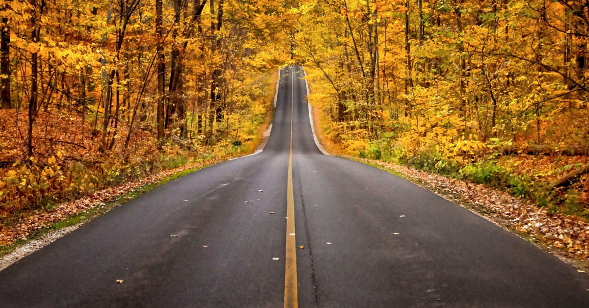 When And Where To Experience Ohio's Fall Foliage 2021