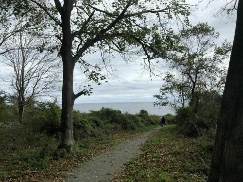 The Black Point Trail In Narragansett Features Impressive Ruins