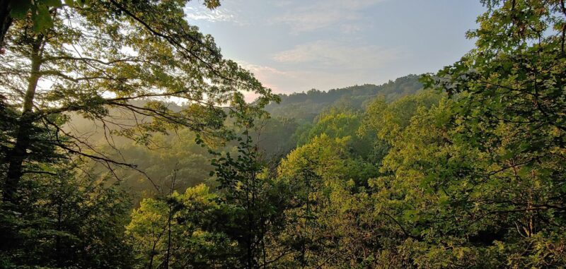 Green's Bluff Trail Is A Beautiful Hike In Indiana