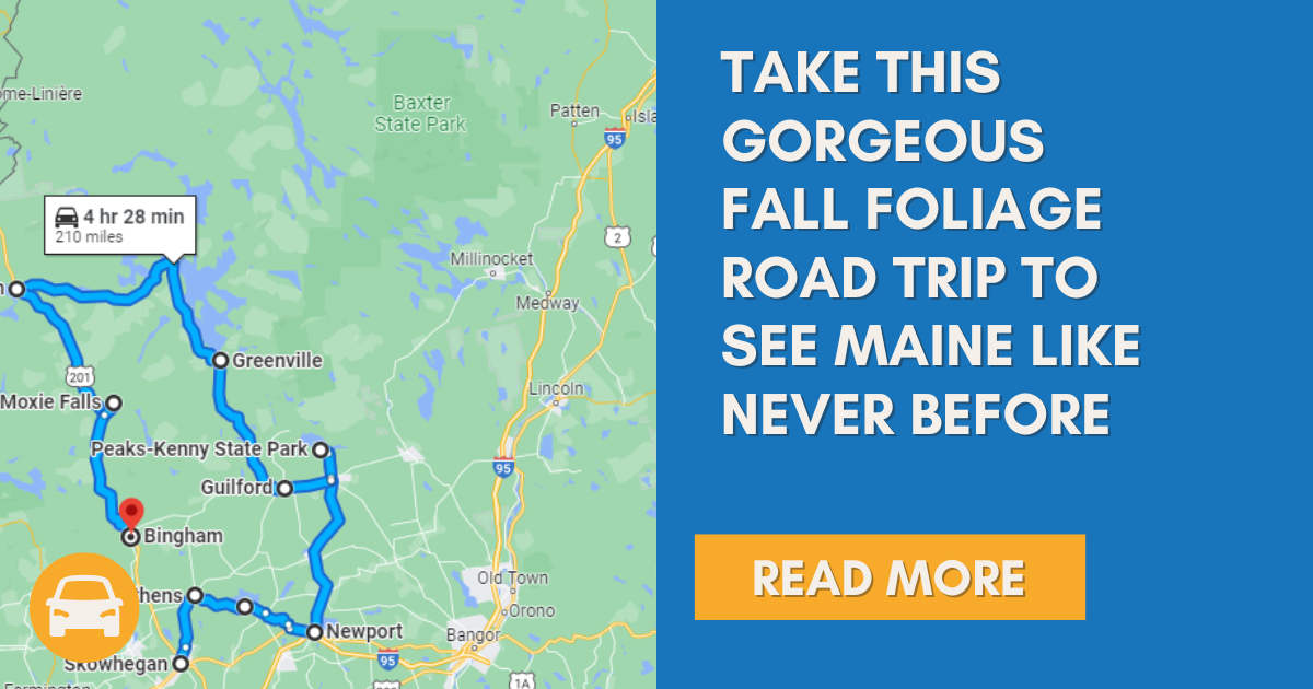 Take This Gorgeous Fall Foliage Road Trip To See Maine Like Never Before