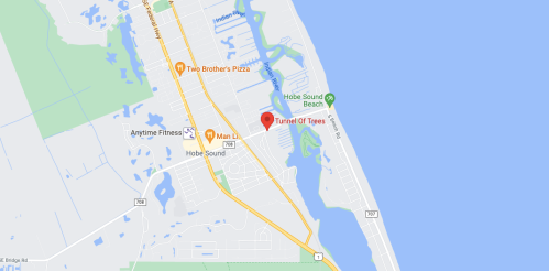 Drive Down Hobe Sound's Magical Tunnel Of Trees In Florida