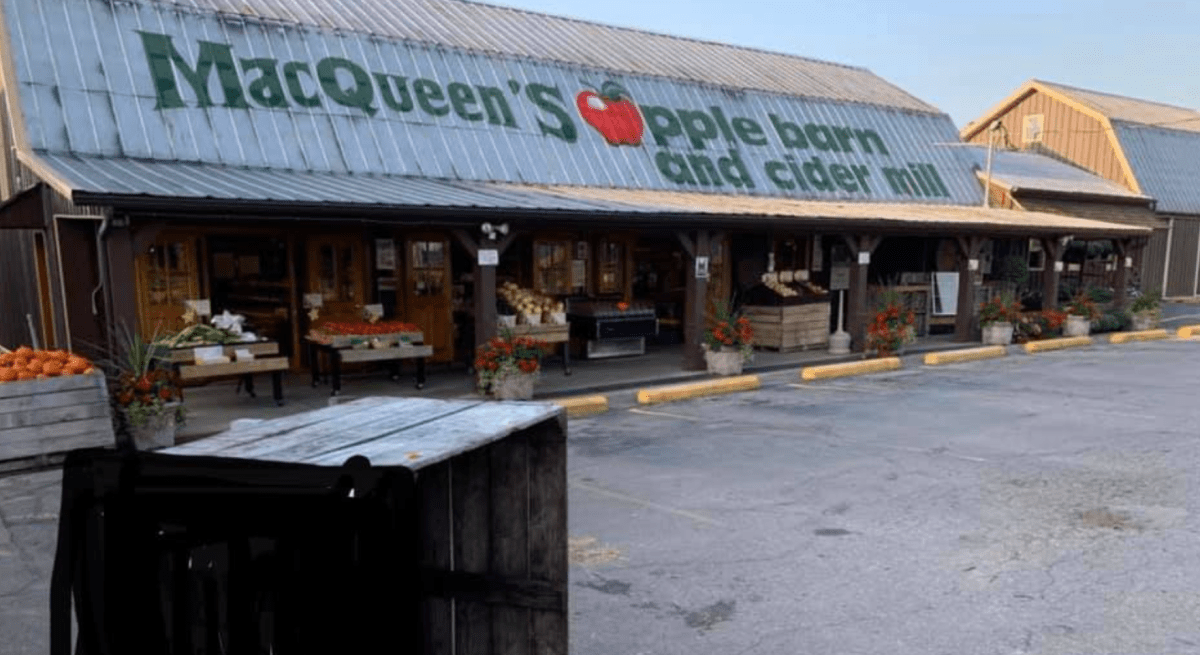 MacQueen Orchards: Apple Cider Donuts And Cider Slushies In Ohio
