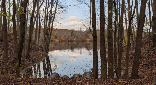 Cranbury, New Jersey Is A Tiny Historic Town Worth A Day Trip