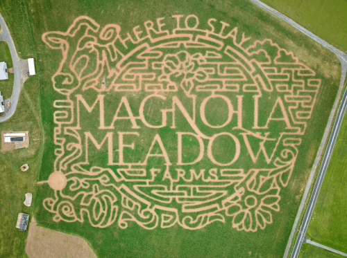 The 9 Best Corn Mazes In Maryland To Visit This Fall