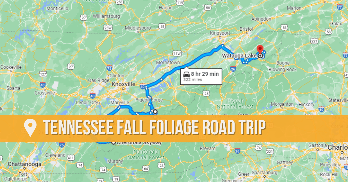 Take This Gorgeous Fall Foliage Road Trip To See Tennessee Like Never ...