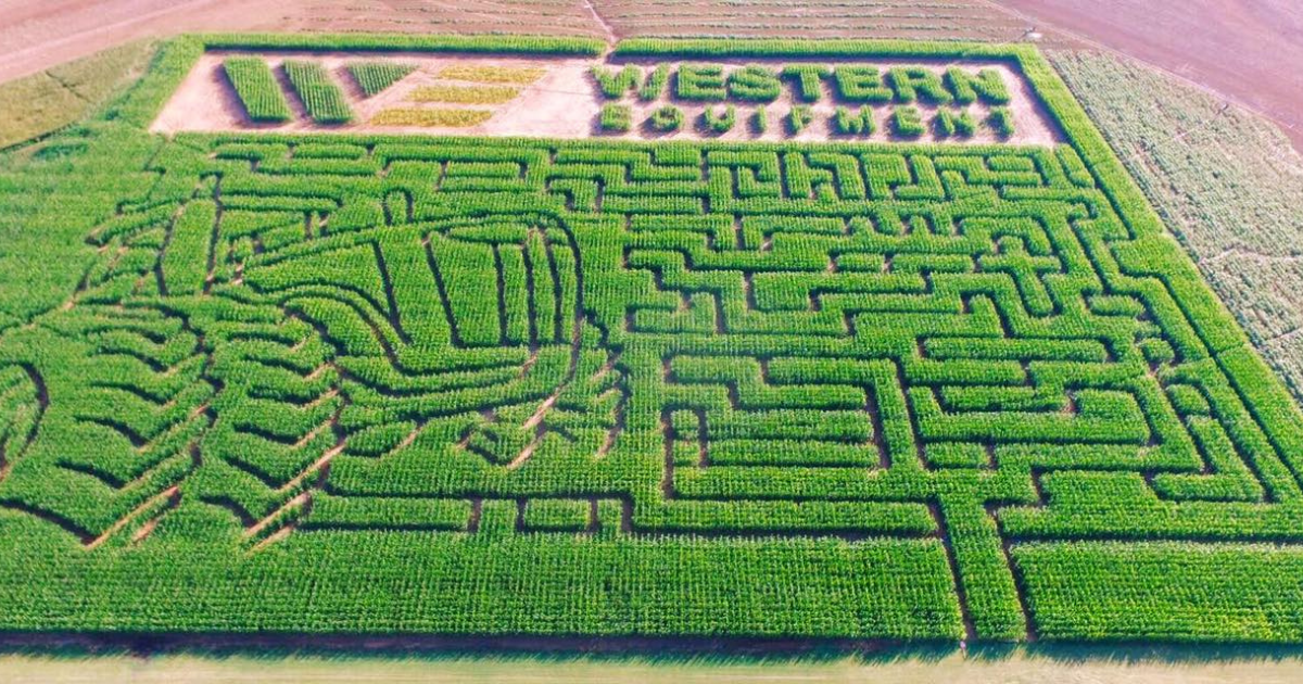 7 Best Corn Mazes In Oklahoma