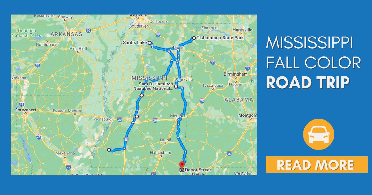 Experience Mississippi In The Fall On This Scenic Road Trip