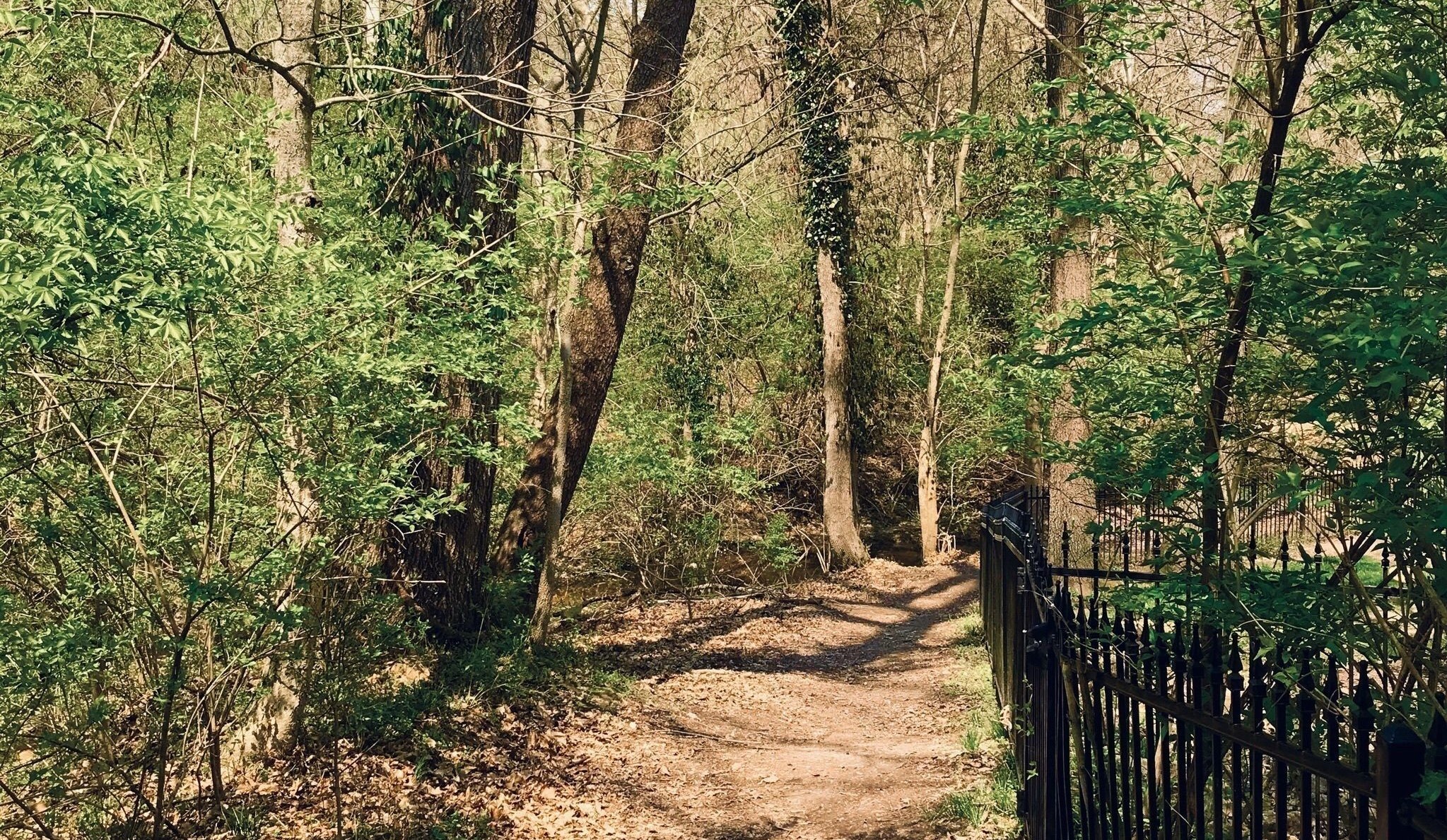 Explore The Frightfully Beautiful Phantom Forest Conservation Area In ...