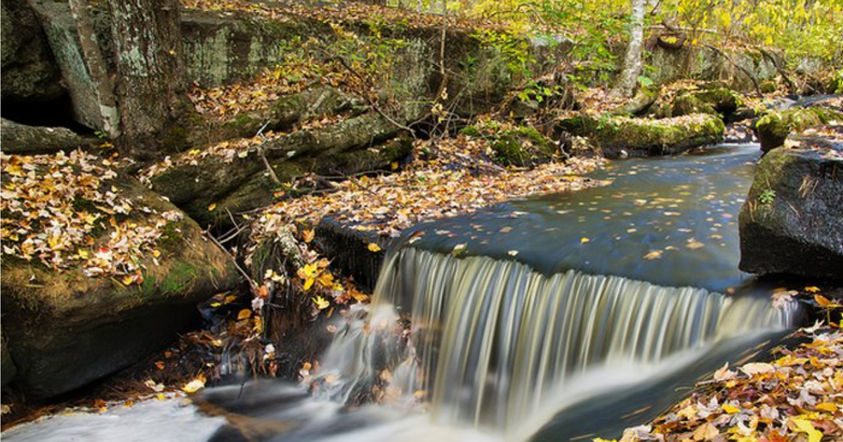 Best Rhode Island Fall Foliage Road Trip