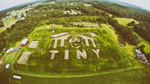 Get Lost In The 9 Best Corn Mazes In Kentucky This Fall