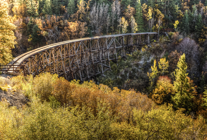 When And Where To Expect New Mexico’s Fall Foliage To Peak This Year