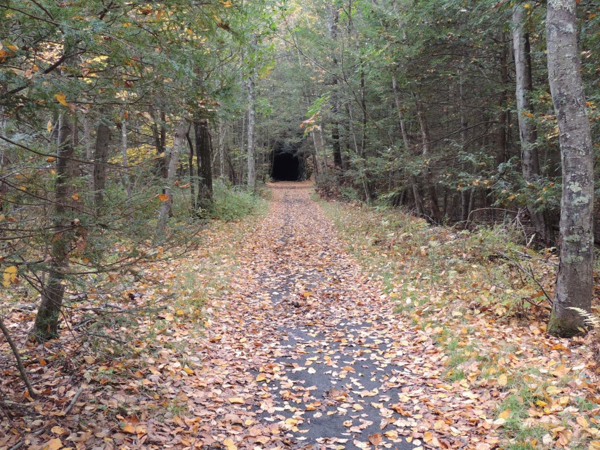 Check Out This Magical Tunnel You'll Find In Connecticut