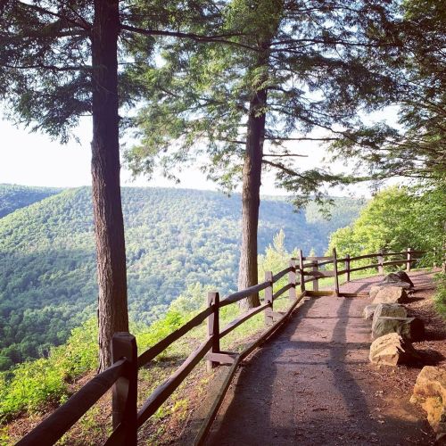 Hike At Worlds End State Park And Eat At Forksville General Store In PA