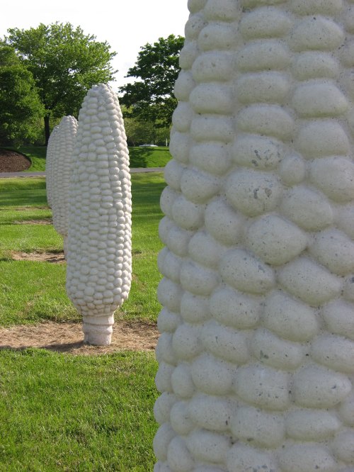 Field Of Corn: Weirdest Roadside Attraction In Ohio