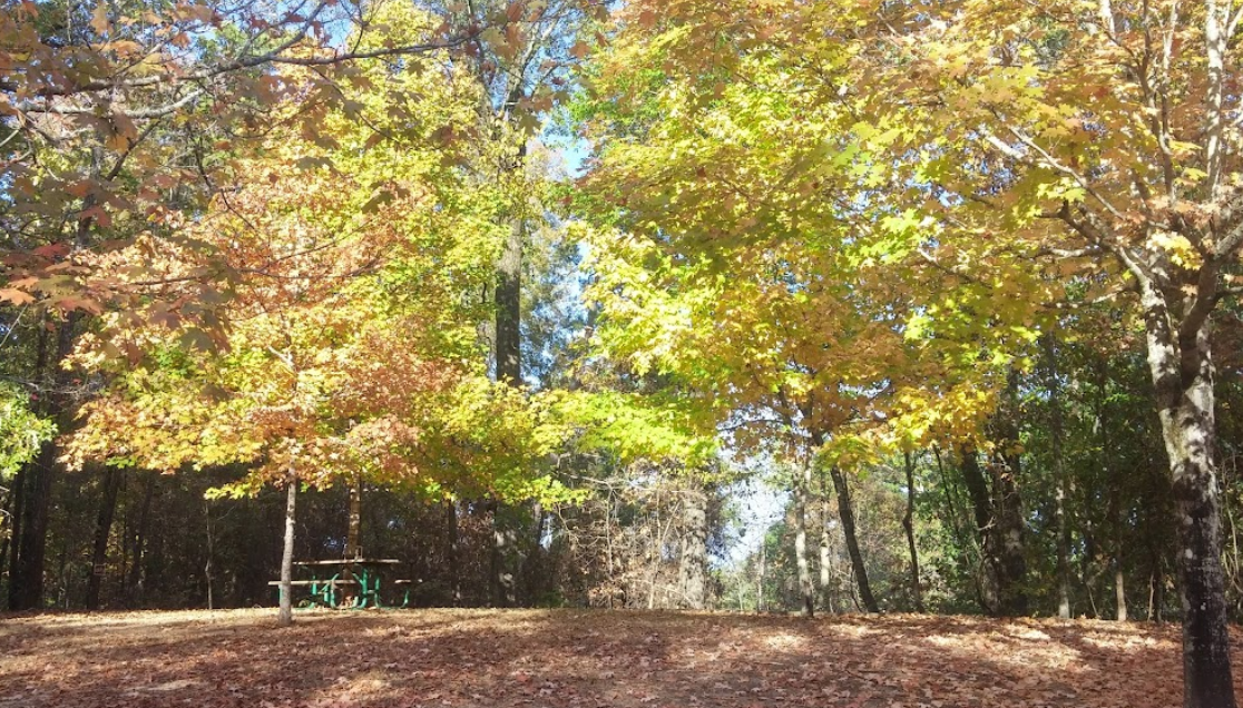 The Hike That Will Take You To Spectacular Fall Foliage In Mississippi