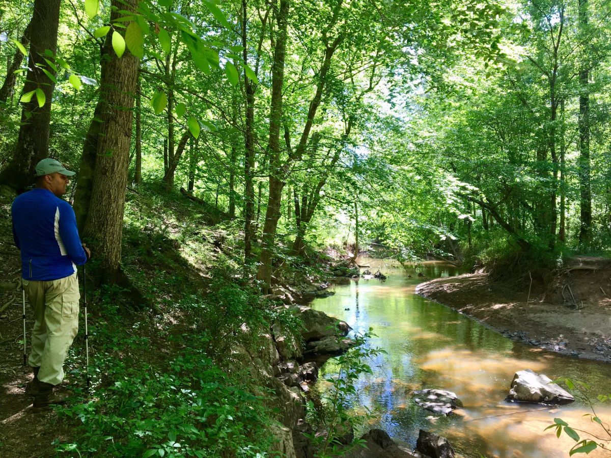 The Trail Along The Lower Haw River In North Carolina Is Stunning