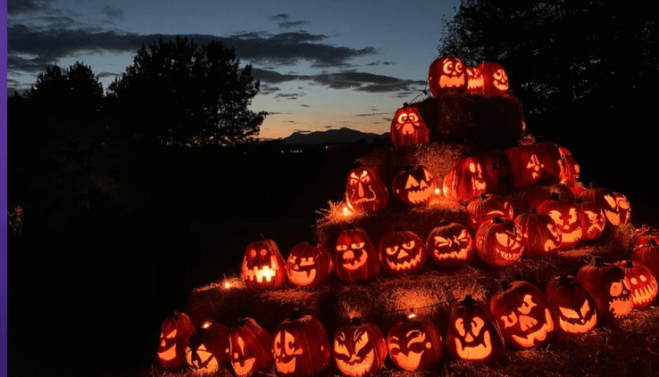 Visit A New Fall Tradition In North Carolina, The Carolina Pumpkin ...