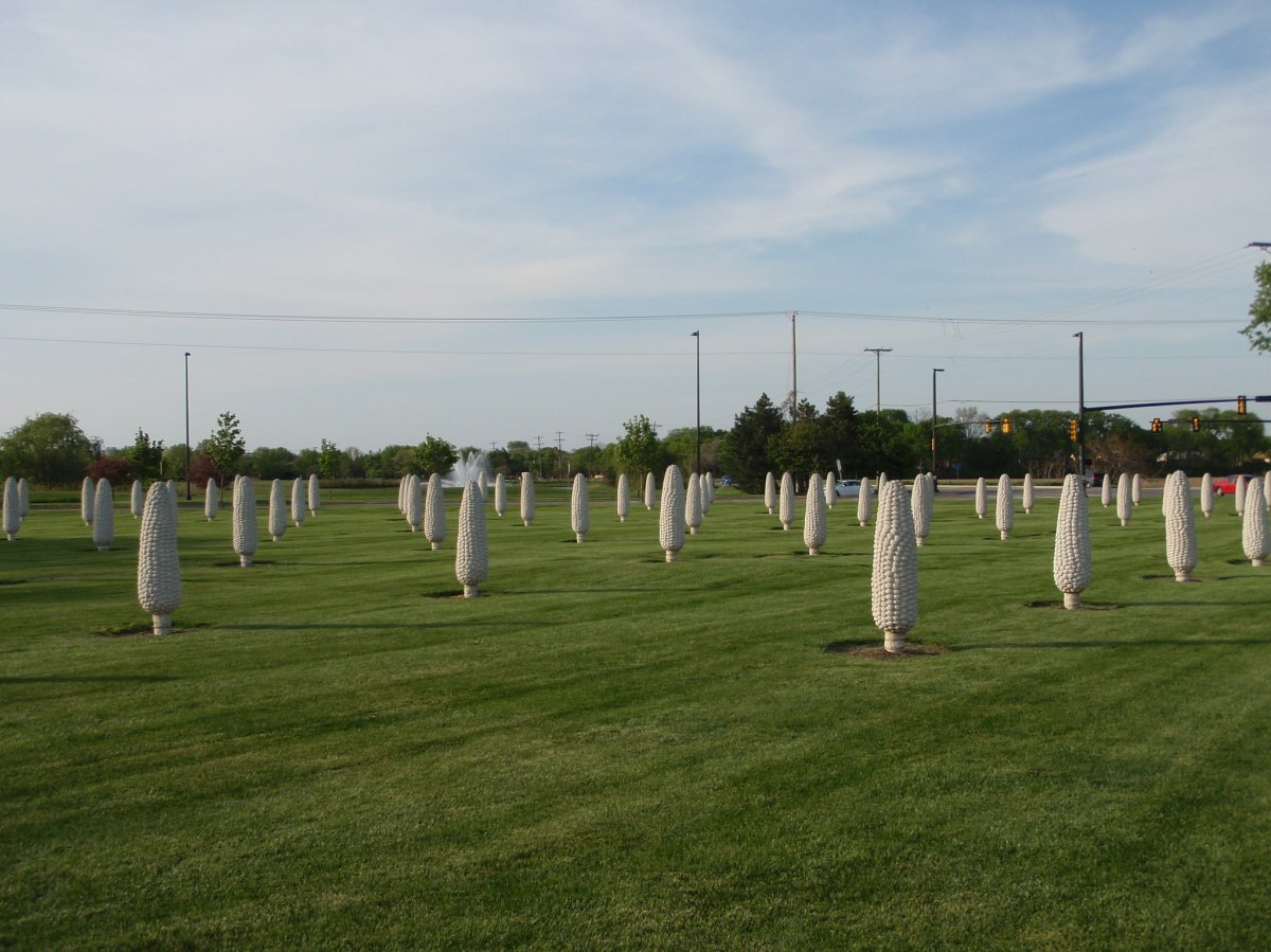 Field Of Corn: Weirdest Roadside Attraction In Ohio