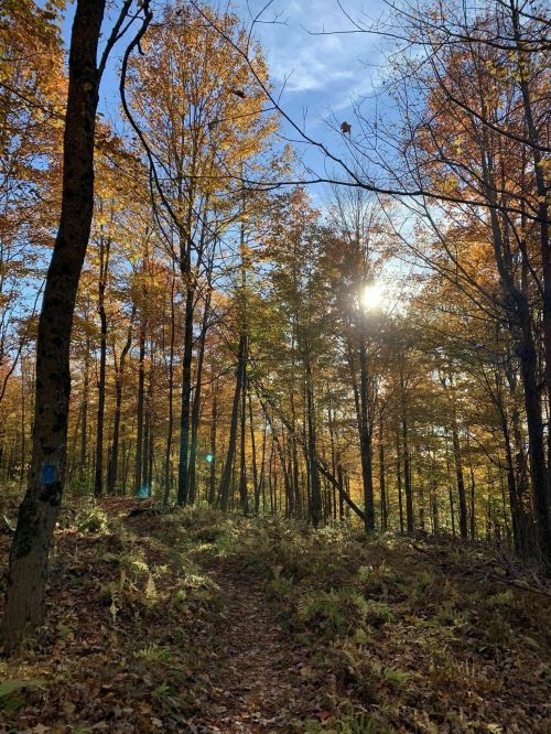 Hike At Worlds End State Park And Eat At Forksville General Store In PA