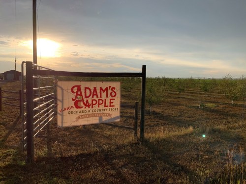 Nothing Says Fall More Than A Visit To Colorado's Charming Apple Farm
