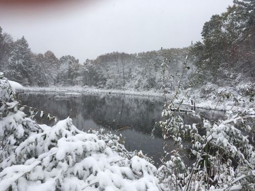 You'll Want To Spend The Entire Day At This Pond In Massachusetts