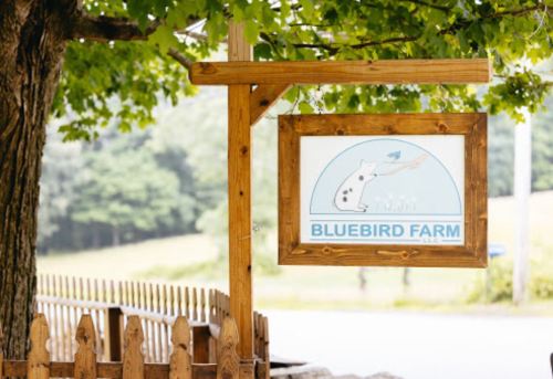 Experience the Bluebird Treehouse at Bluebird Farm in Connecticut