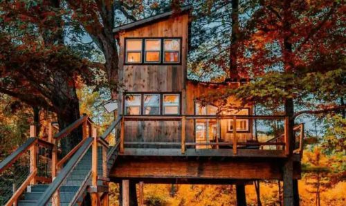 Experience the Bluebird Treehouse at Bluebird Farm in Connecticut