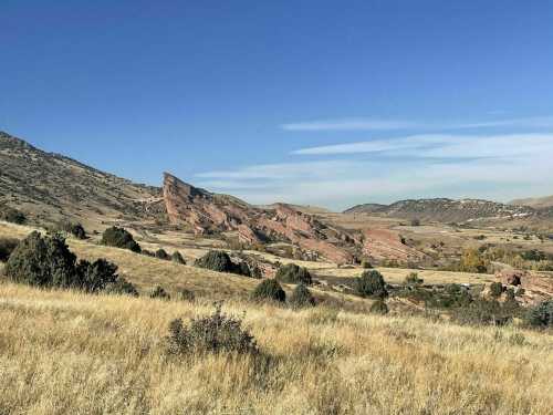 Visit The Falcon Castle Ruins In Colorado%%page%% %%sep%% %%sitename%%