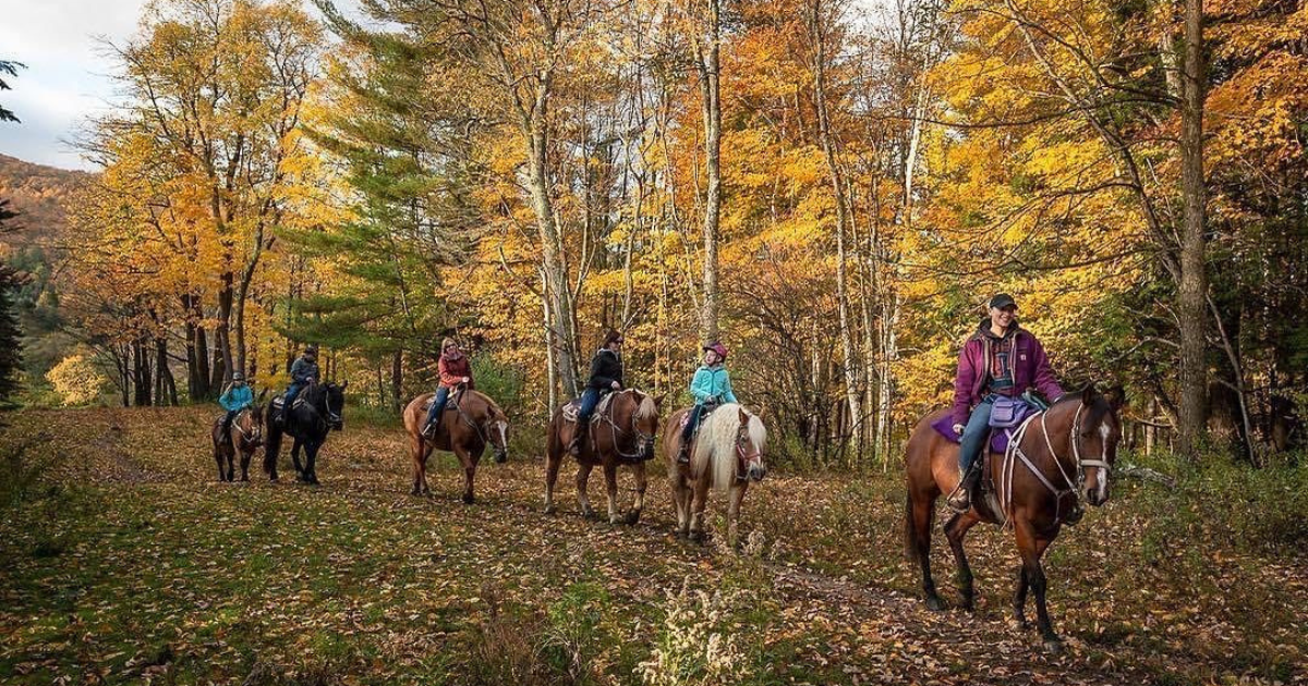 Take a Fall Foliage Trail Ride on Horseback at Lajoie Stables in Vermont