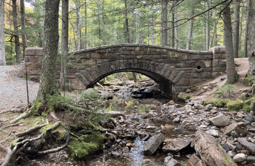 Hadlock Loop: Acadia National Park Waterfalls
