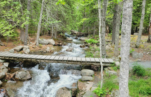 Hadlock Loop: Acadia National Park Waterfalls