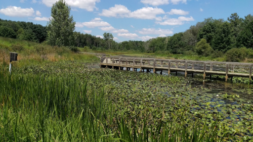 Visit One Of The Most Enchanting Landscapes Near Cleveland