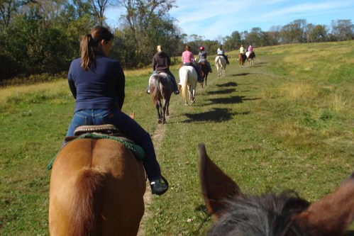 Take A Fall Trail Ride On Horseback At Cedar Valley Stables In Iowa
