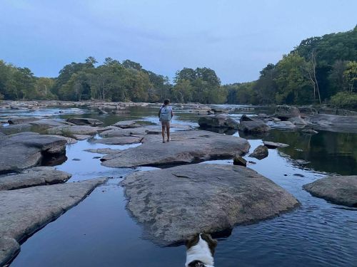 The Saluda Riverwalk: Beautiful Hike In South Carolina