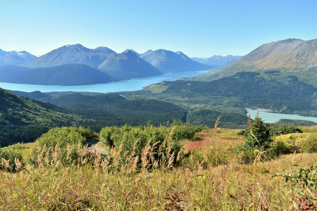 Crown Point Mine Road Trail Brings You Views Of Kenai Lake In Alaska