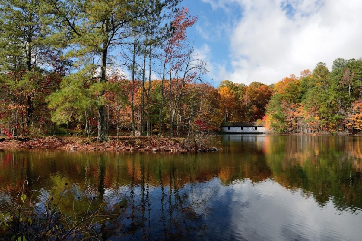 7 Most Beautiful Fall Vistas In Alabama