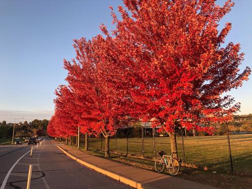 Walk Or Ride By The River On The Steel Valley Trail Near Pittsburgh
