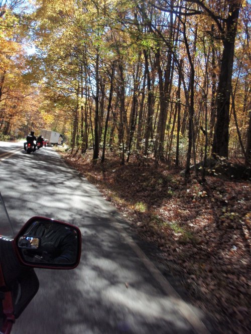 Pig Trail Scenic Byway: Arkansas Greatest Tunnel of Trees