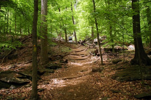 The Catoctin Mountain Extended Loop Trail offers breathtaking views.