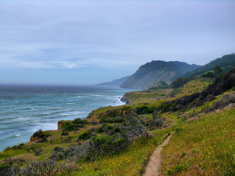 Sinkyone Wilderness State Park Is A Little-Known Park In Northern ...