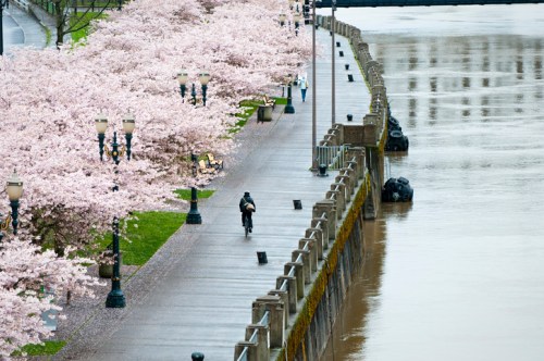 This Oregon Waterfront Is One Of The Best River Walks In The Country