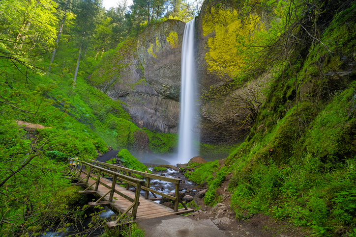 Explore Latourell Falls Loop Trail: Oregon's Enchanting Hike